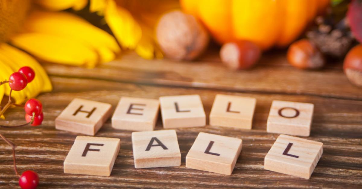 Your guide to fall fun