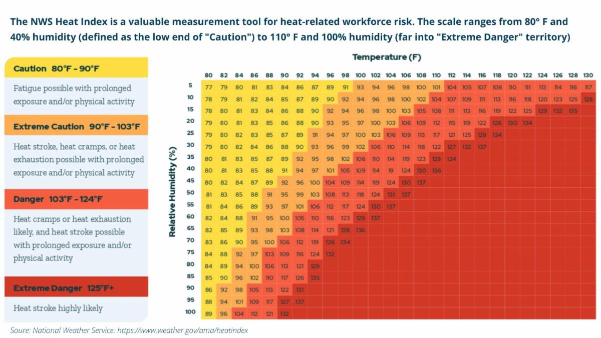 August News & Updates