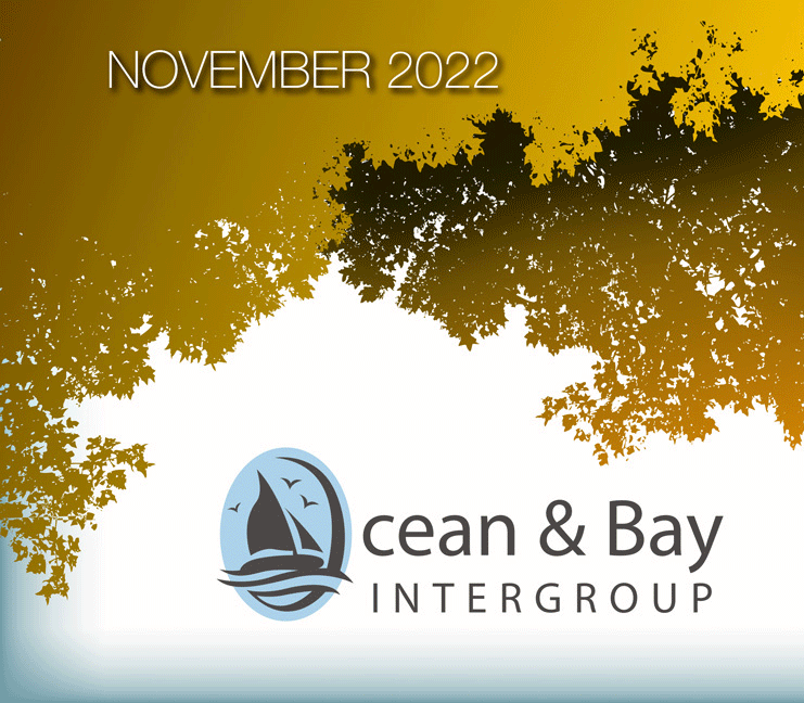 November 2022 Newsletter