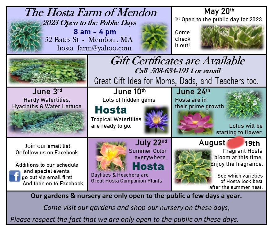 The Hosta Farm Of Mendon Open to the Public on Saturday, June 10th