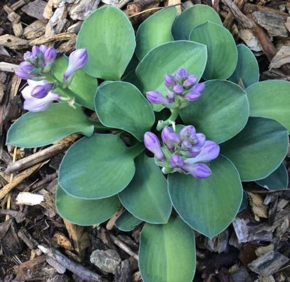 This Saturday - June 11th - Open to the Public