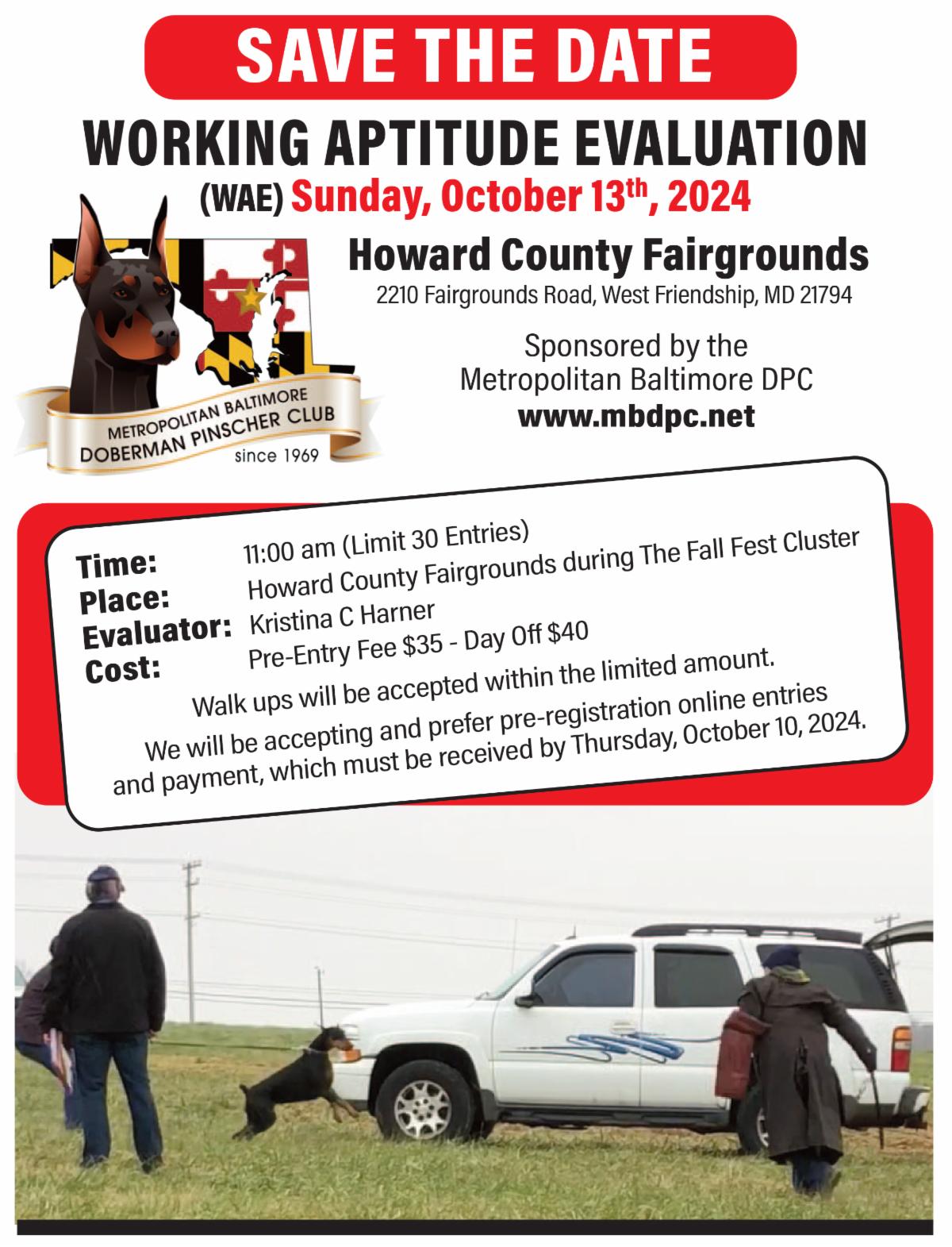 All Ears Newsletter - Vol 8 Issue 6 June 2024 Supplement