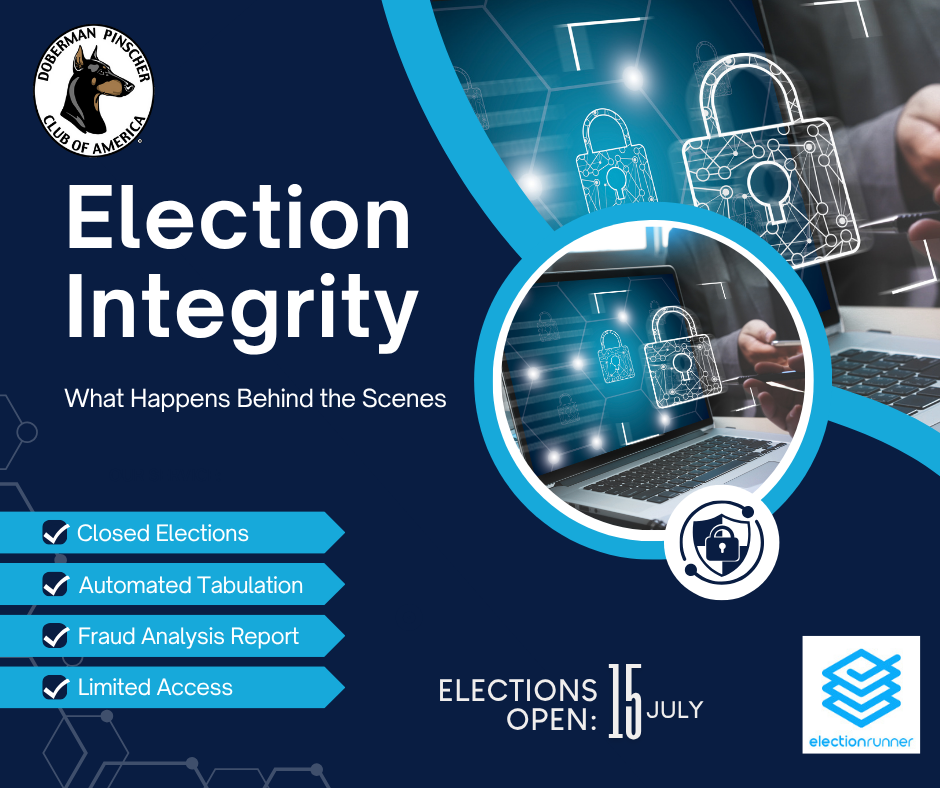 It’s Almost Time to Vote – Here’s How the DPCA Election Works