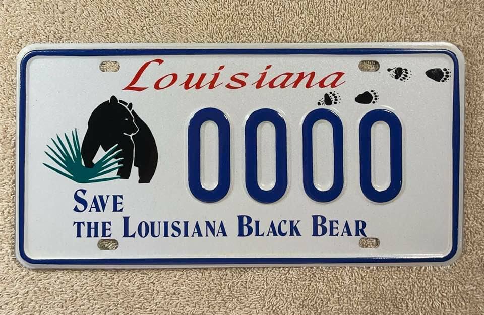 Stop the Bear Hunt