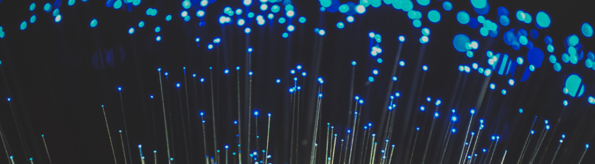 Cape Cod Commission REPORTER - March 2024