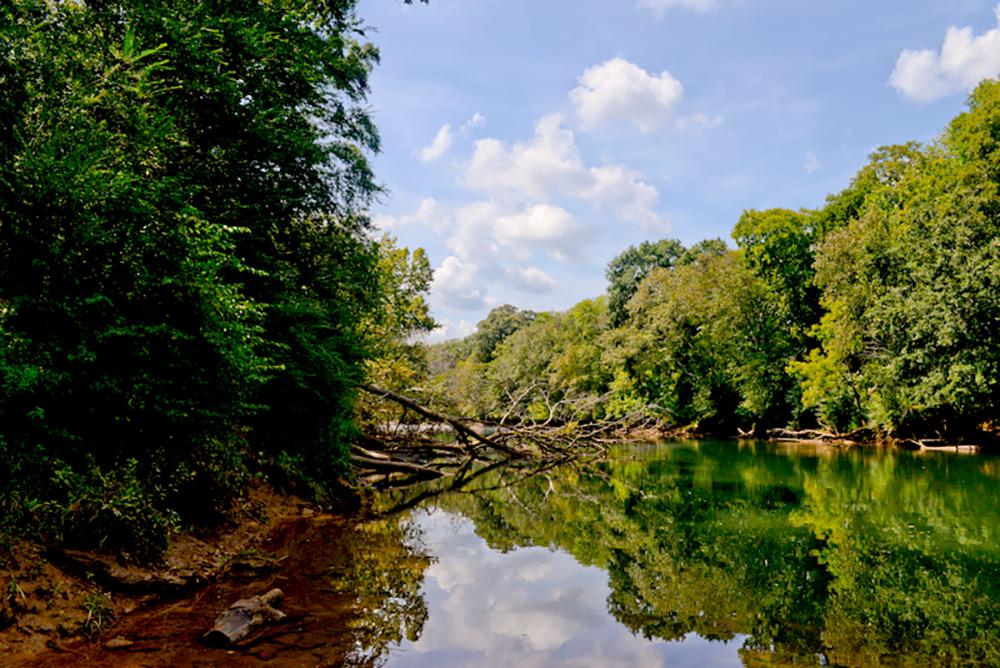 City of Johns Creek March Newsletter