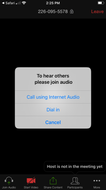 Step-by-step Instructions for Accessing LCBA's Zoom Room