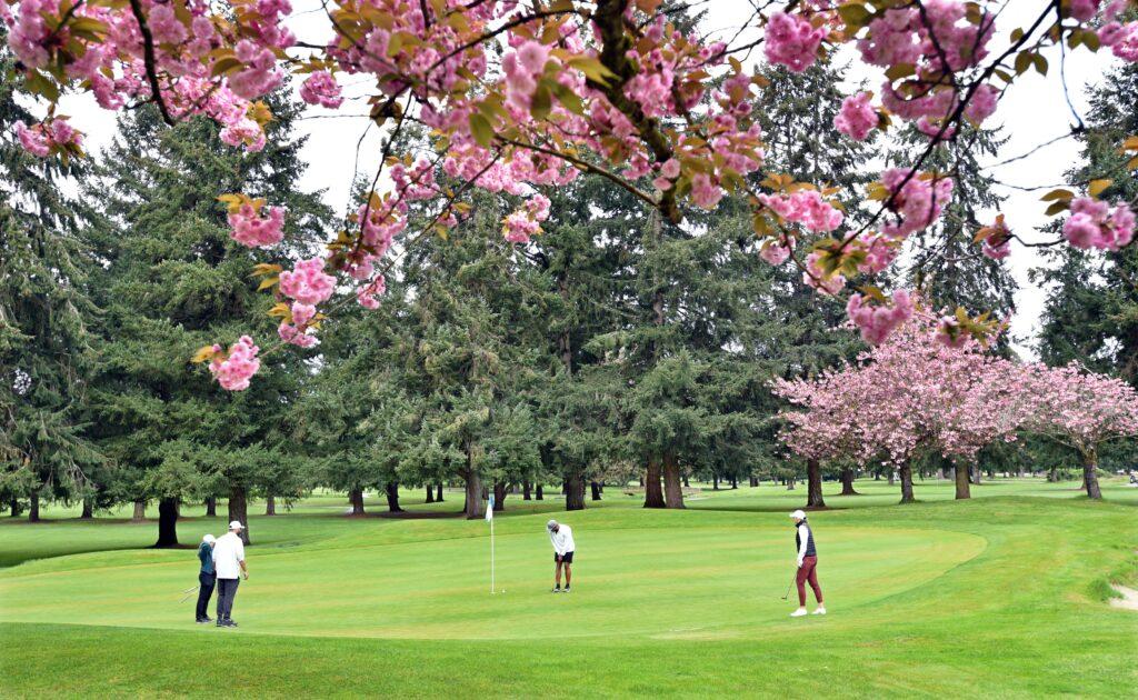 February's News from Parks Tacoma