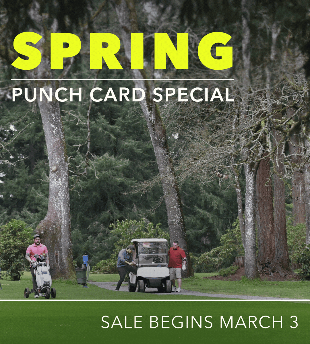 Spring Punch Card Special ⛳