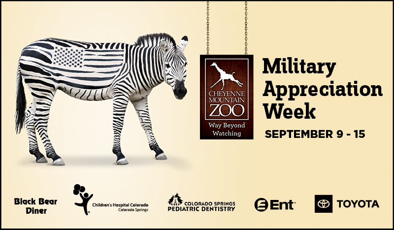 THE WATERHOLE: Water's Edge: Africa Construction Update; Rae's Next ...