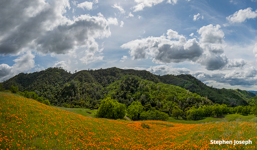 , We Miss You at Save Mount Diablo!