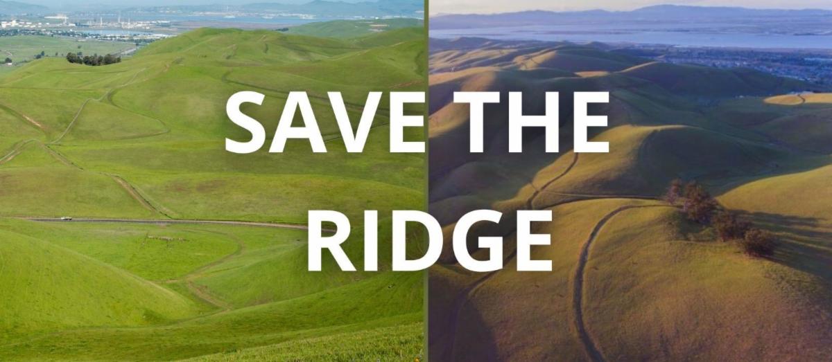 Key Mount Diablo State Park Inholding Protected, Just in Time for the ...