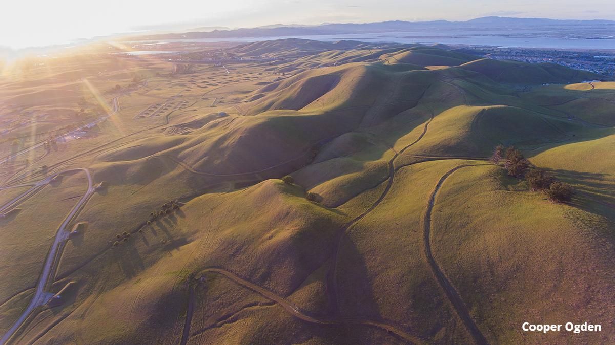 , We Miss You at Save Mount Diablo!