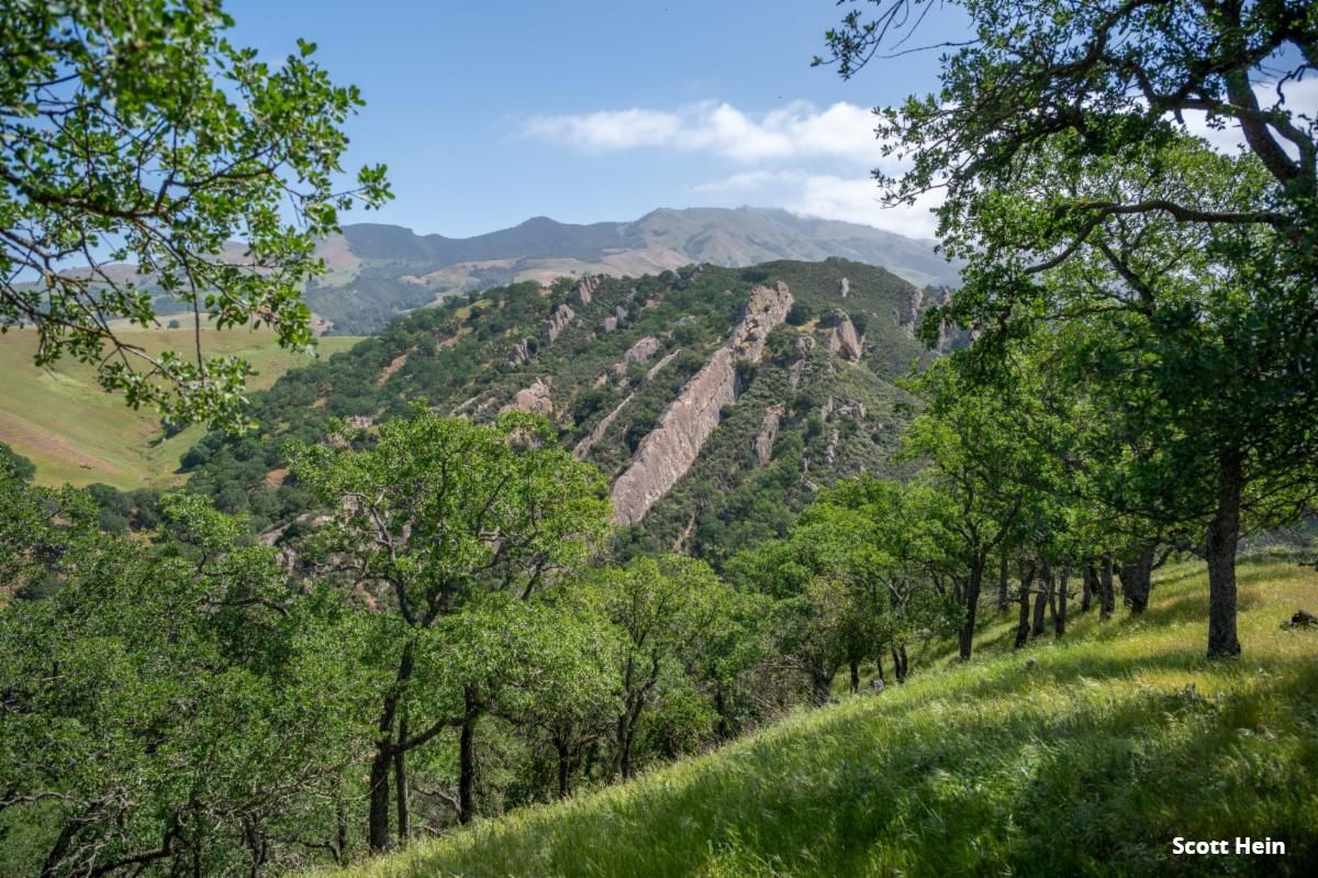 Key Mount Diablo State Park Inholding Protected, Just in Time for the ...