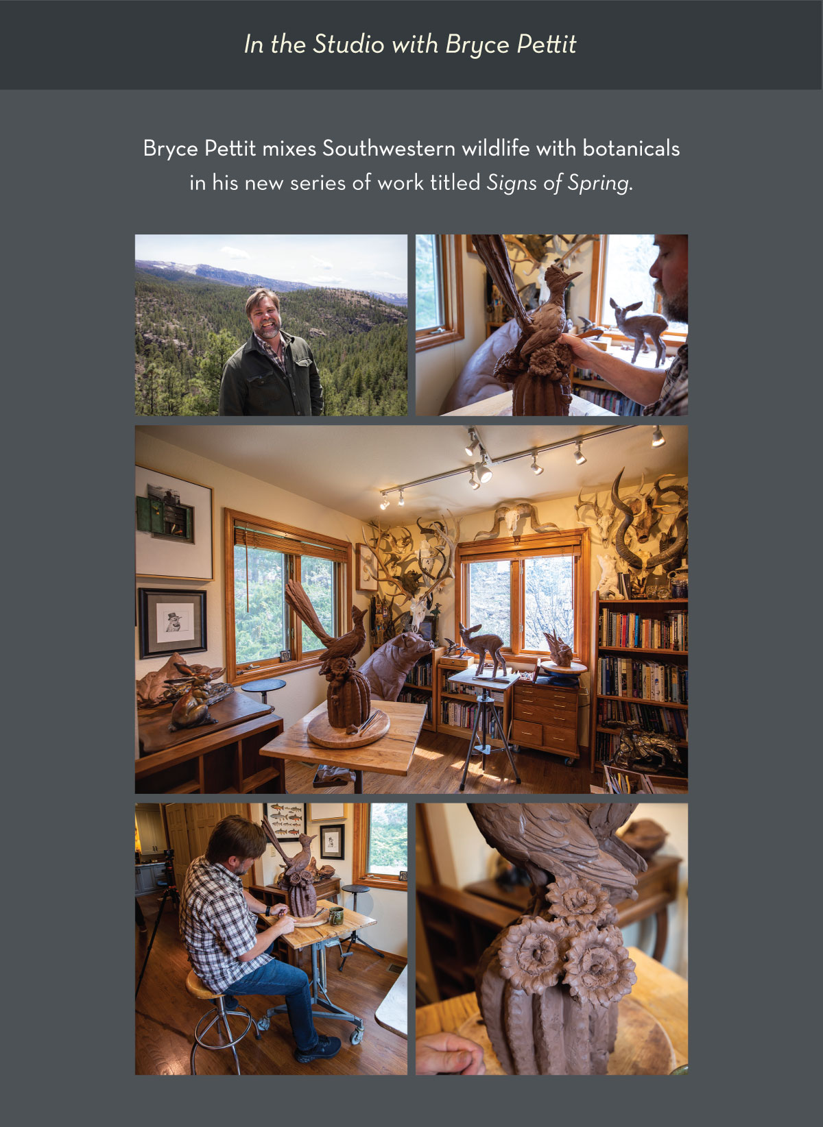 Bryce Pettit: SIGNS OF SPRING