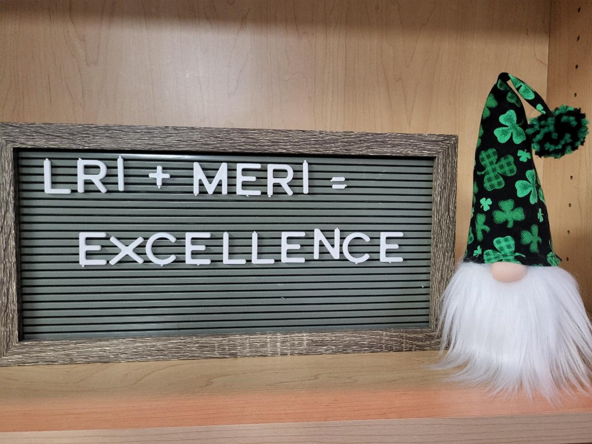 LRI Acquisition of MERI