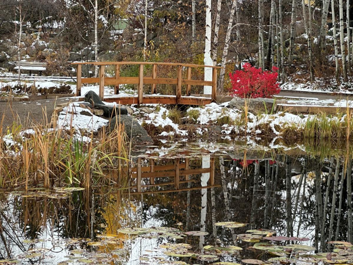 Wrapping Up Another Banner Year