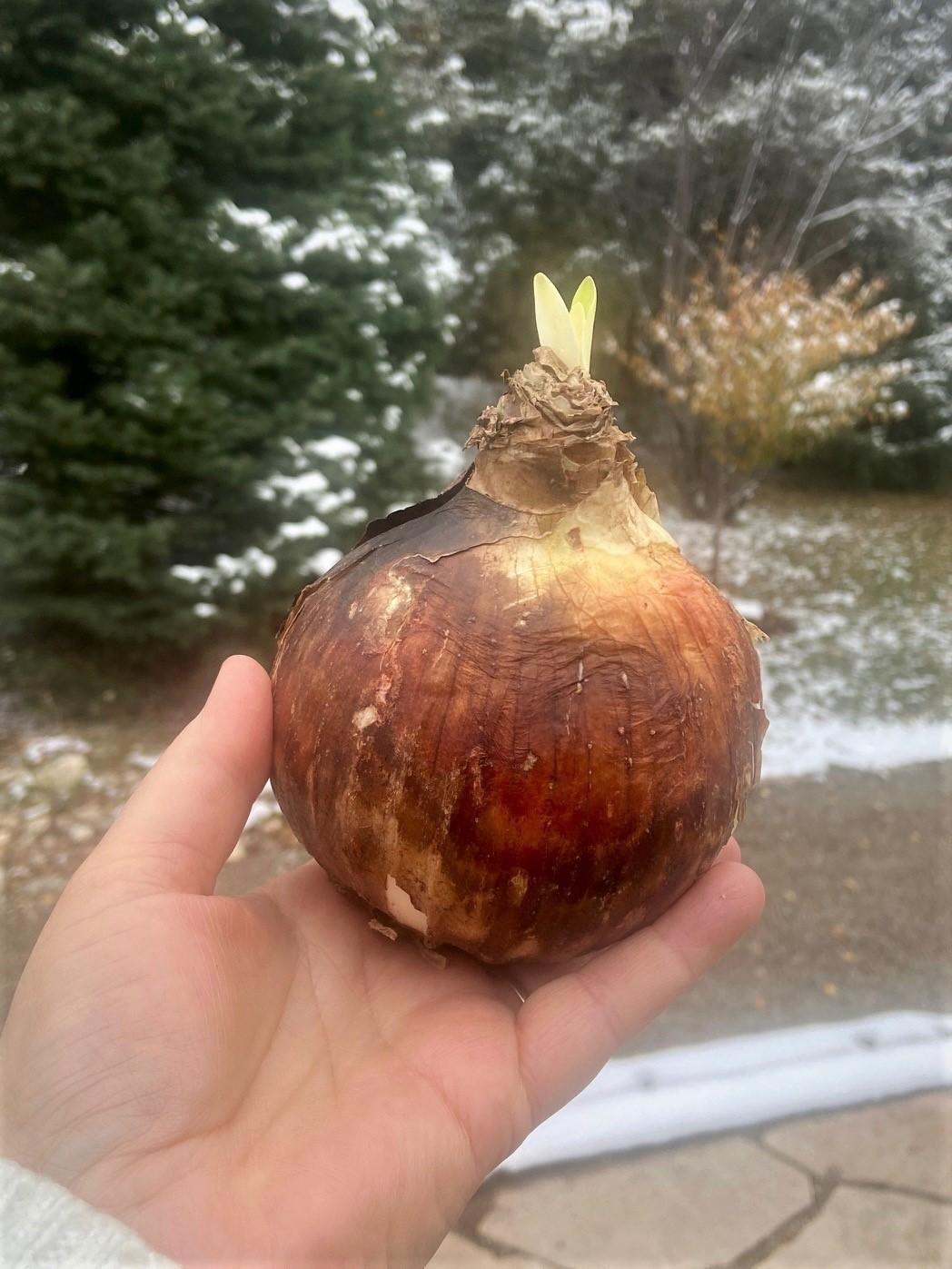 Wrapping Up Another Banner Year