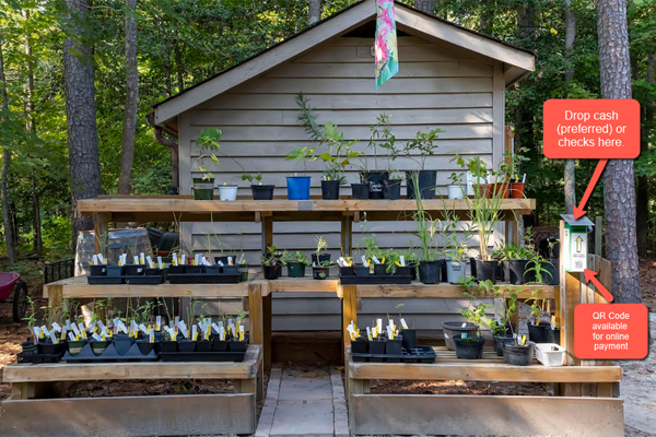 Fall Honor Box Plant Sale is Open Today