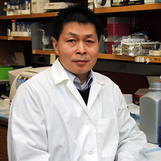 AACI Update | May 2020