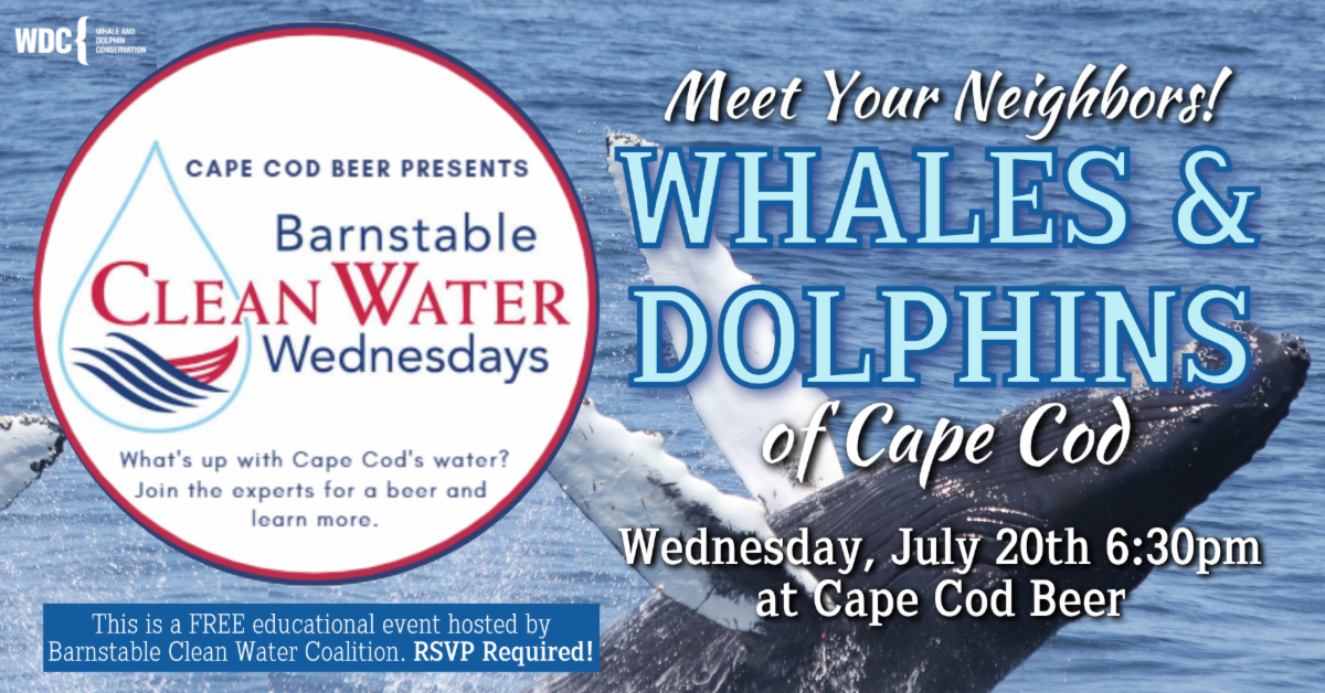 Upcoming BCWC Events & Latest Newsletter