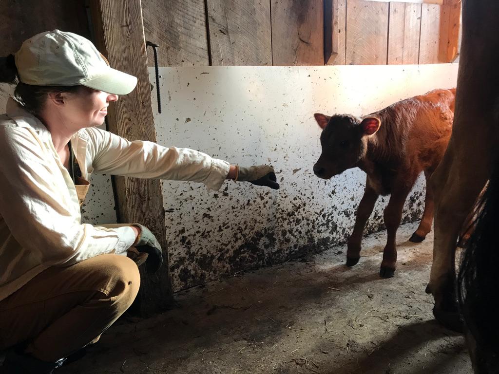 Spread the Word about Our Summer 2023 Farm Internship!
