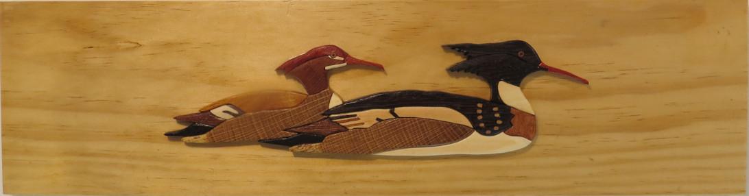 WRWA River News February 2021