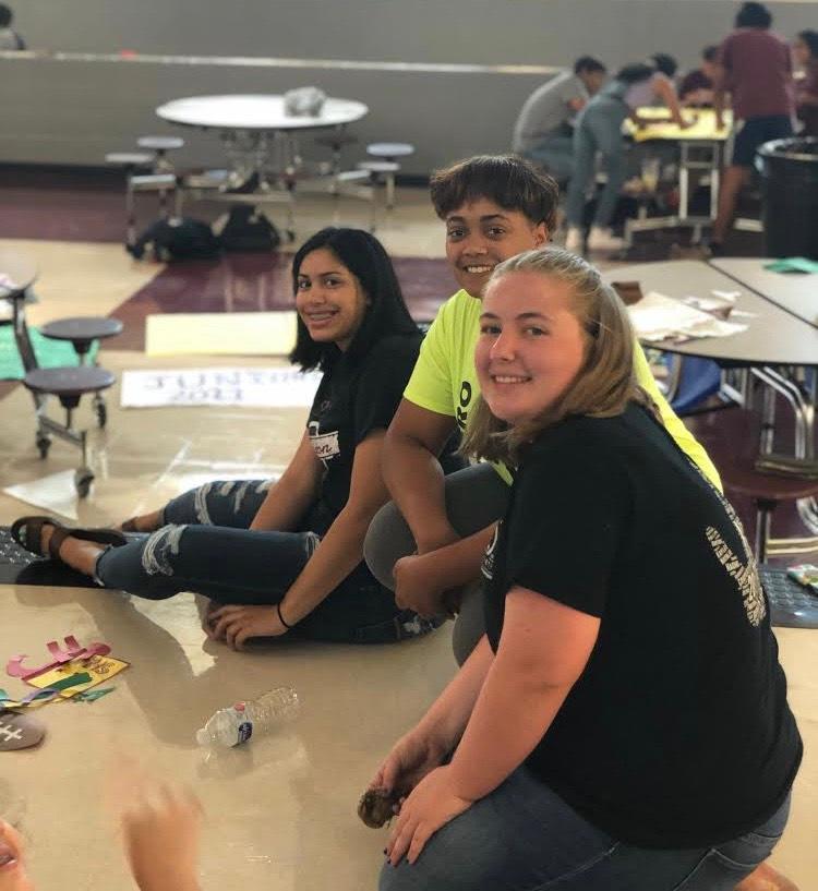 Princeton ISD Email Express 07-29-19