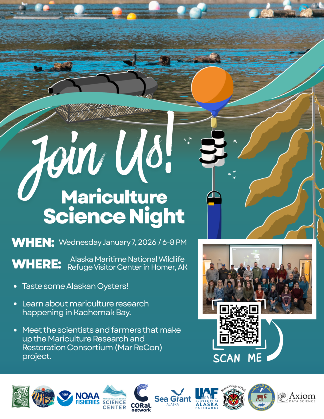 January 2026 Breakwater