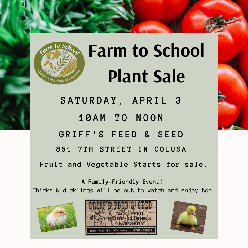 CCOE Community Newsletter - Spring 2021