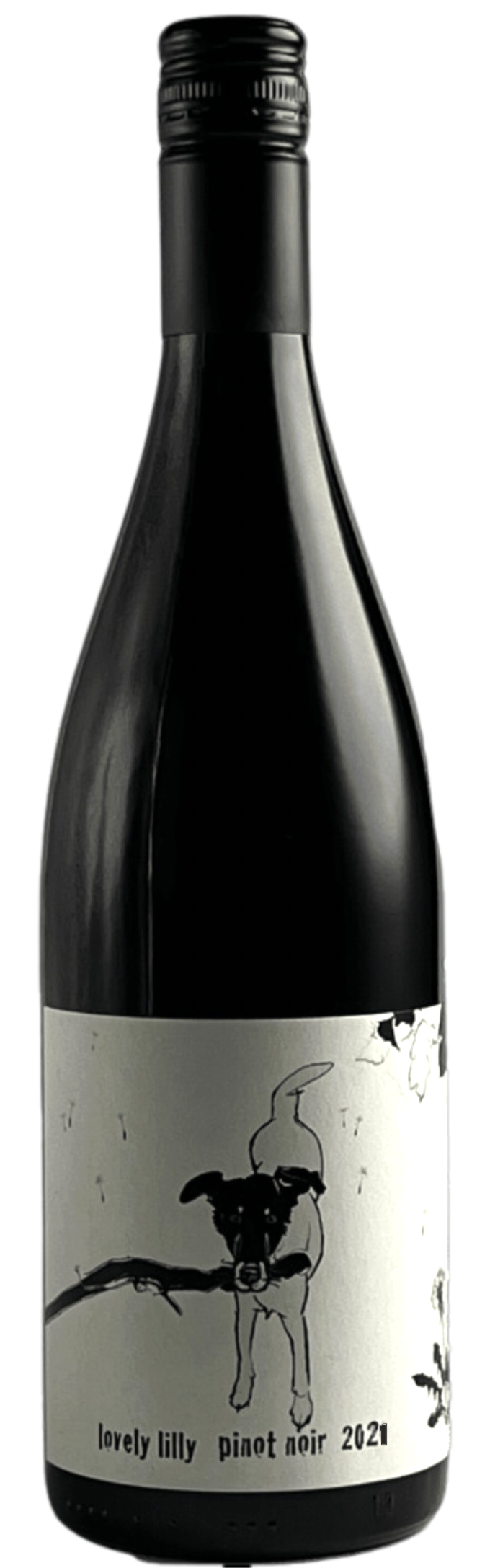 Vin Chicago Wins "Chicago's Best Wine Shop" Award from Chicago Reader!
