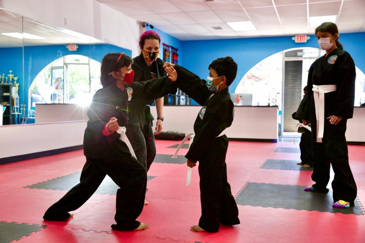 The Women in Budo - Dojo-cho and Chief Instructors