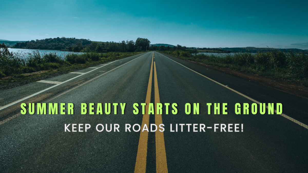 CityConnect - July 2025