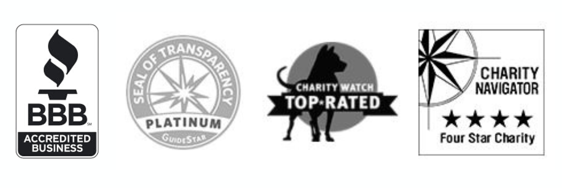 What a Year! NMFA’s 2022 Recap
