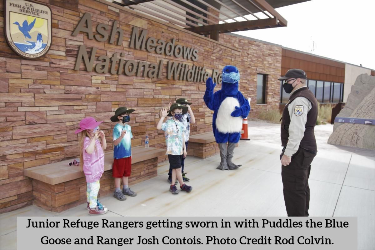 March News from DVNHA