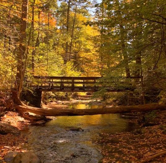 Step into September Fun in Luzerne County!