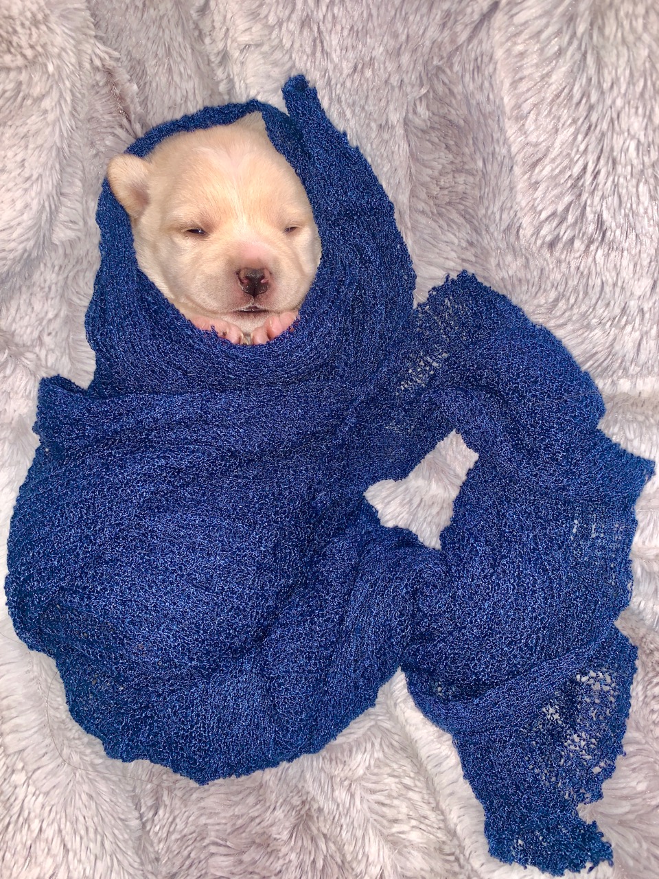 Wondering What's New at DPS Rescue?