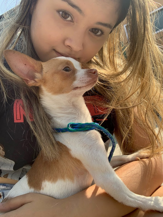 Wondering What's New at DPS Rescue?