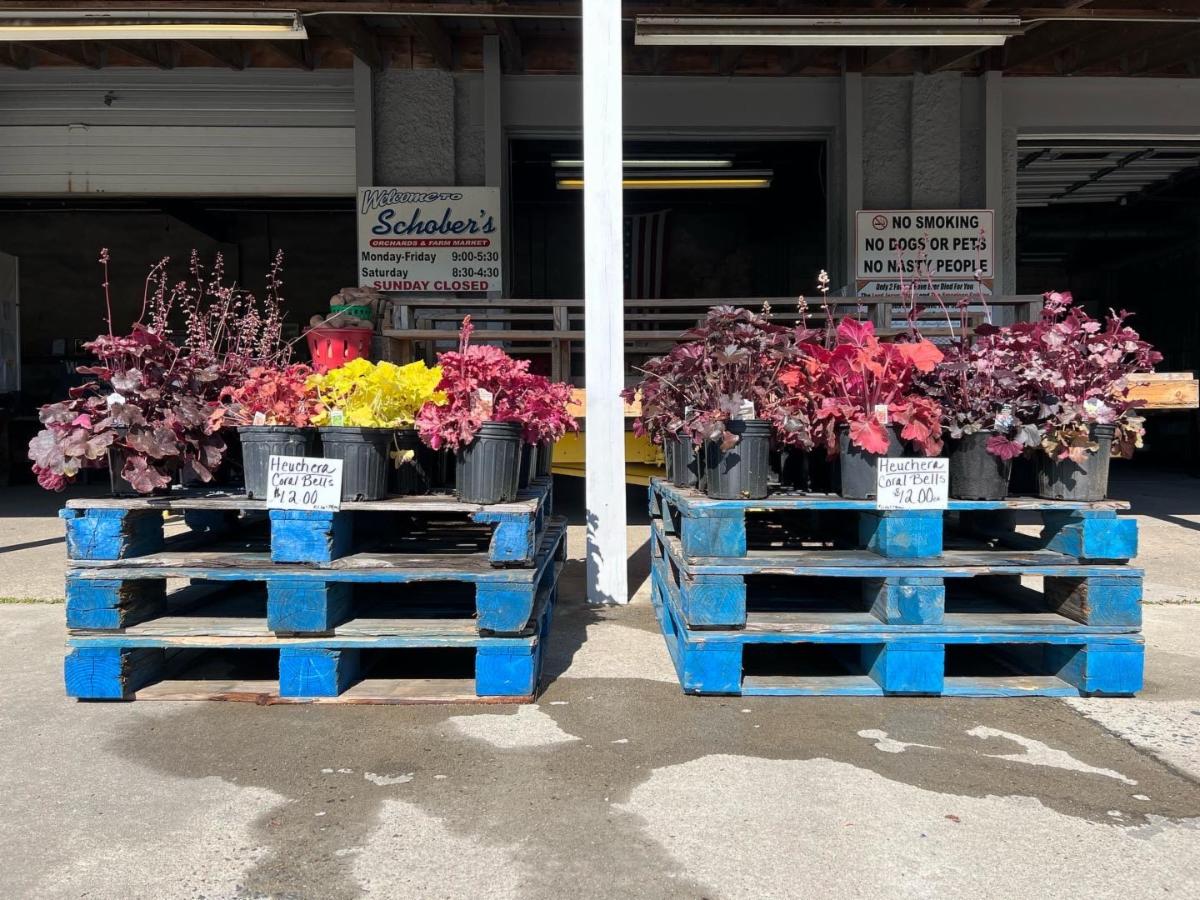 Jersey Fresh Produce is BACK!!!