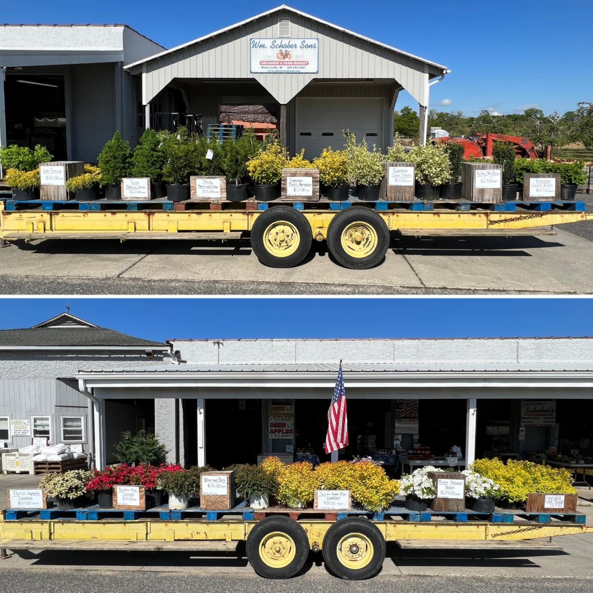 Jersey Fresh Produce is BACK!!!