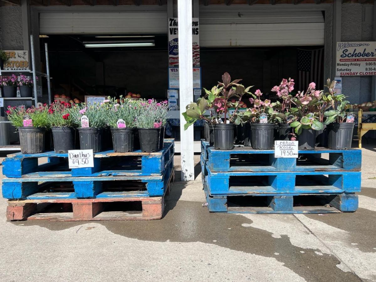 Jersey Fresh Produce is BACK!!!