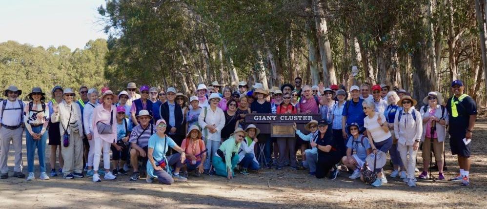 ICAA Newsletter: Wellness Think Tank--AND--New guidelines for ...