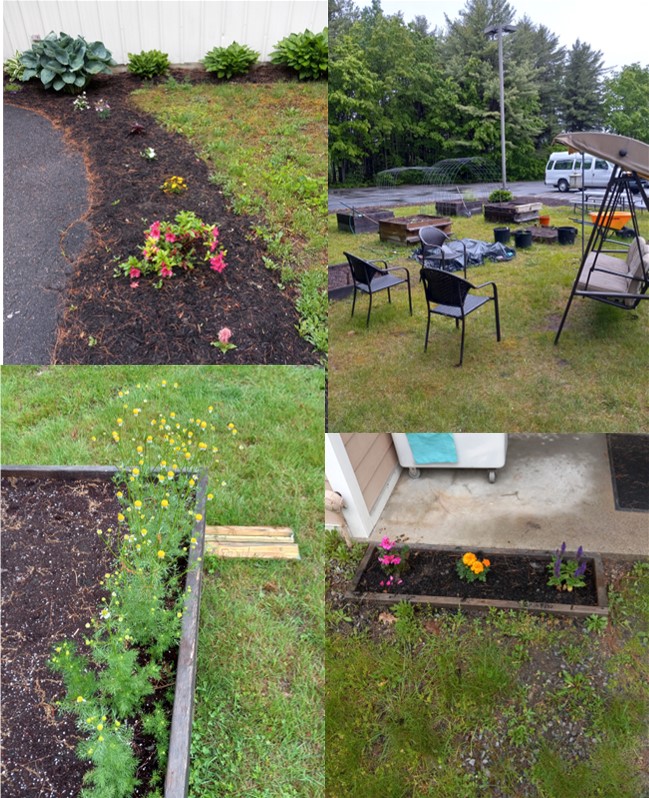 The Let It Grow Contest Winners Are...