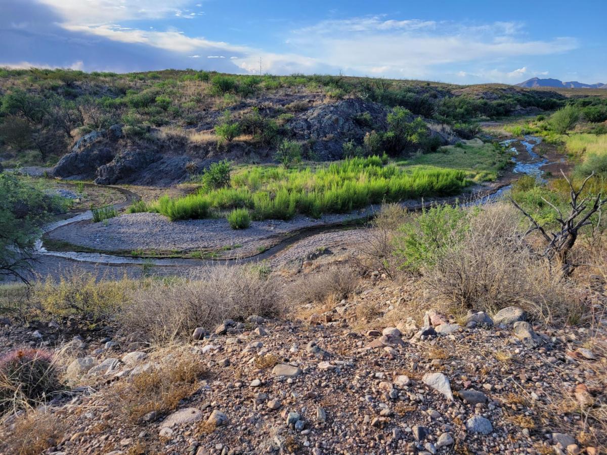 Date Change for the Cienega Watershed Virtual tour: March 8