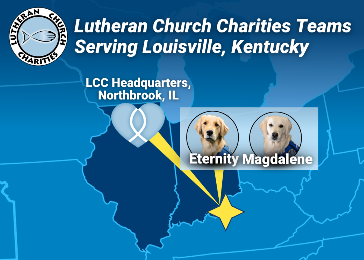 SPECIAL APPEAL: Help LCC HMC, K-9 serve in Louisville after plane crash