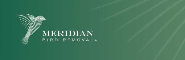 Help First: Meridian’s Partners in Giving Back to Our Community