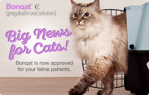 See what's in store for January