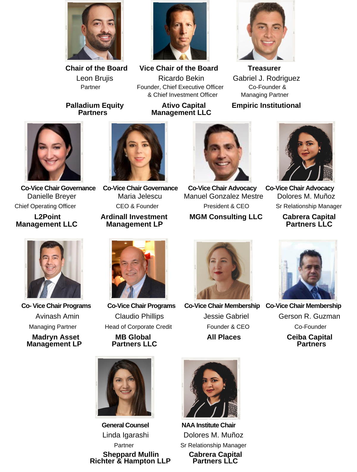 NAA 2023 Board of Directors and End of Year Celebration!