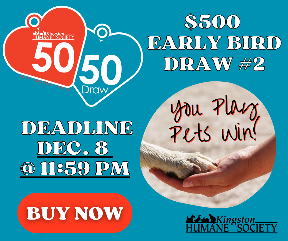 2nd Early Bird Draw Deadline December 8
