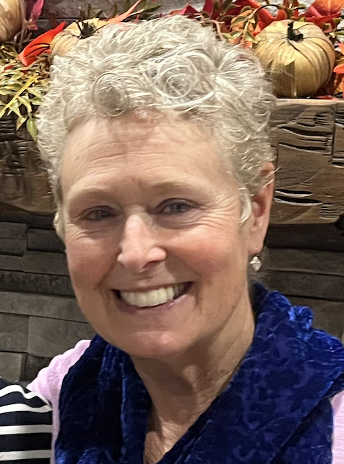 The Voter, November 2023 newsletter